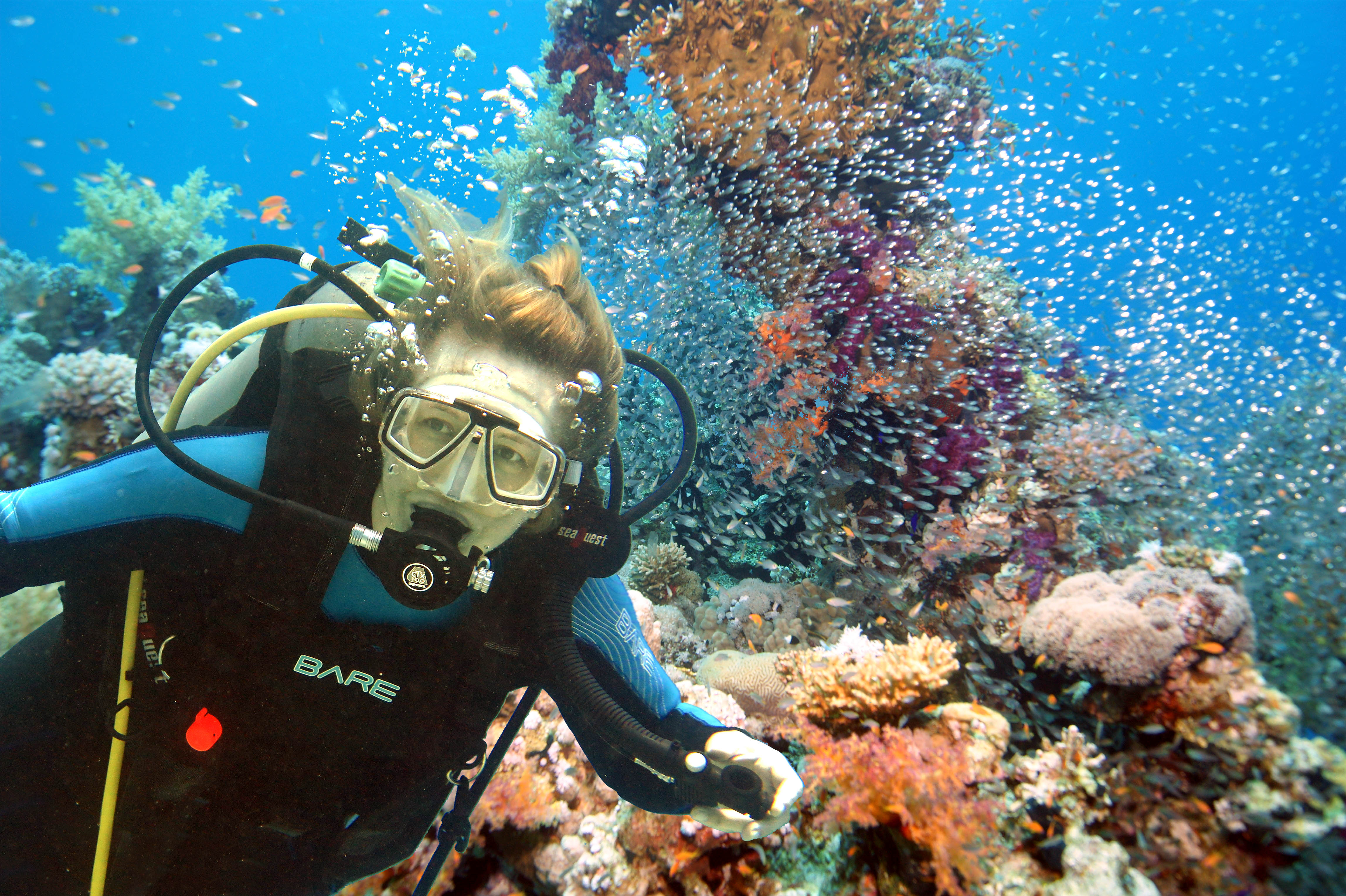 Produkte – Tauchen im Roten Meer – Sunshine Divers Club – deutsche ...